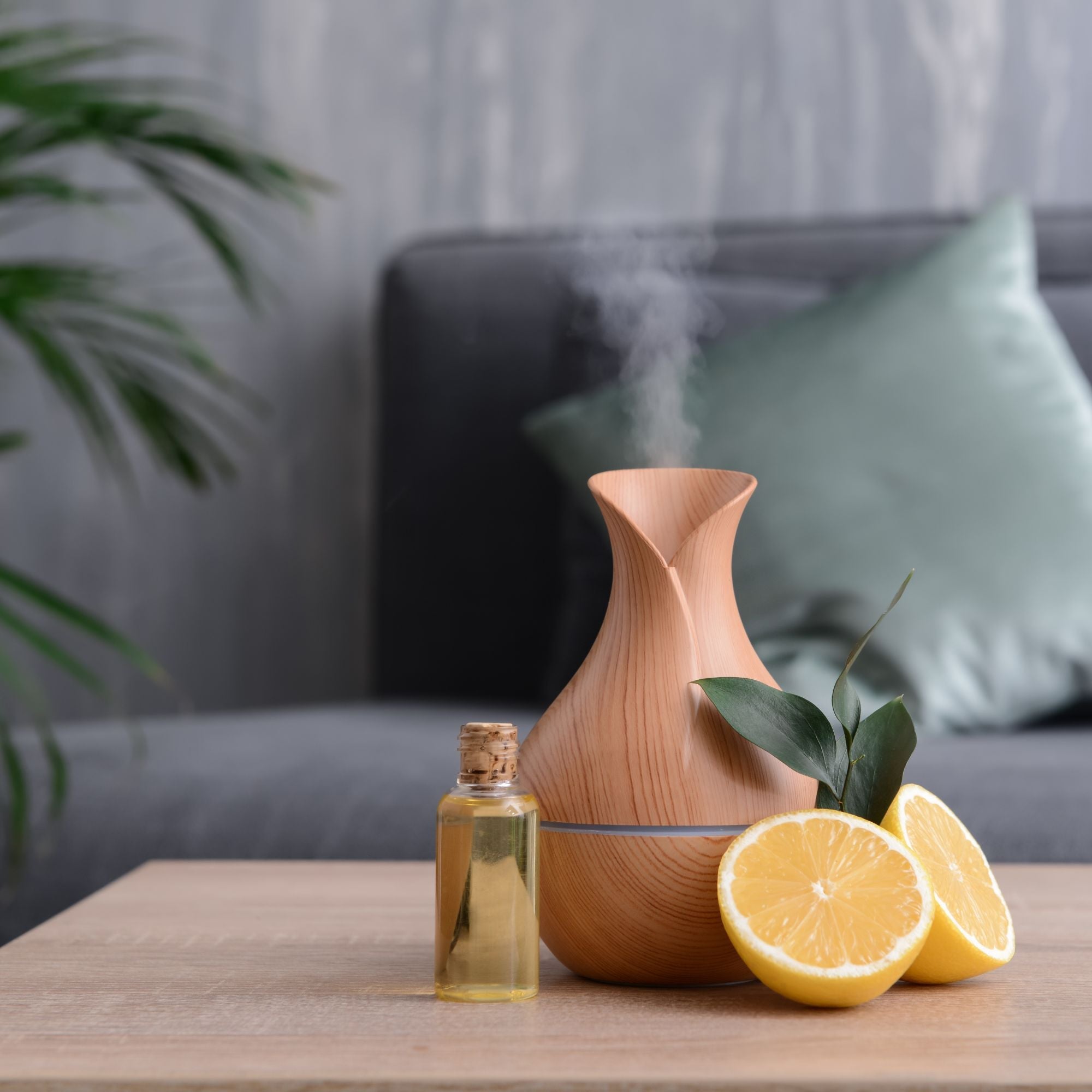 Home care – Zenori Spa